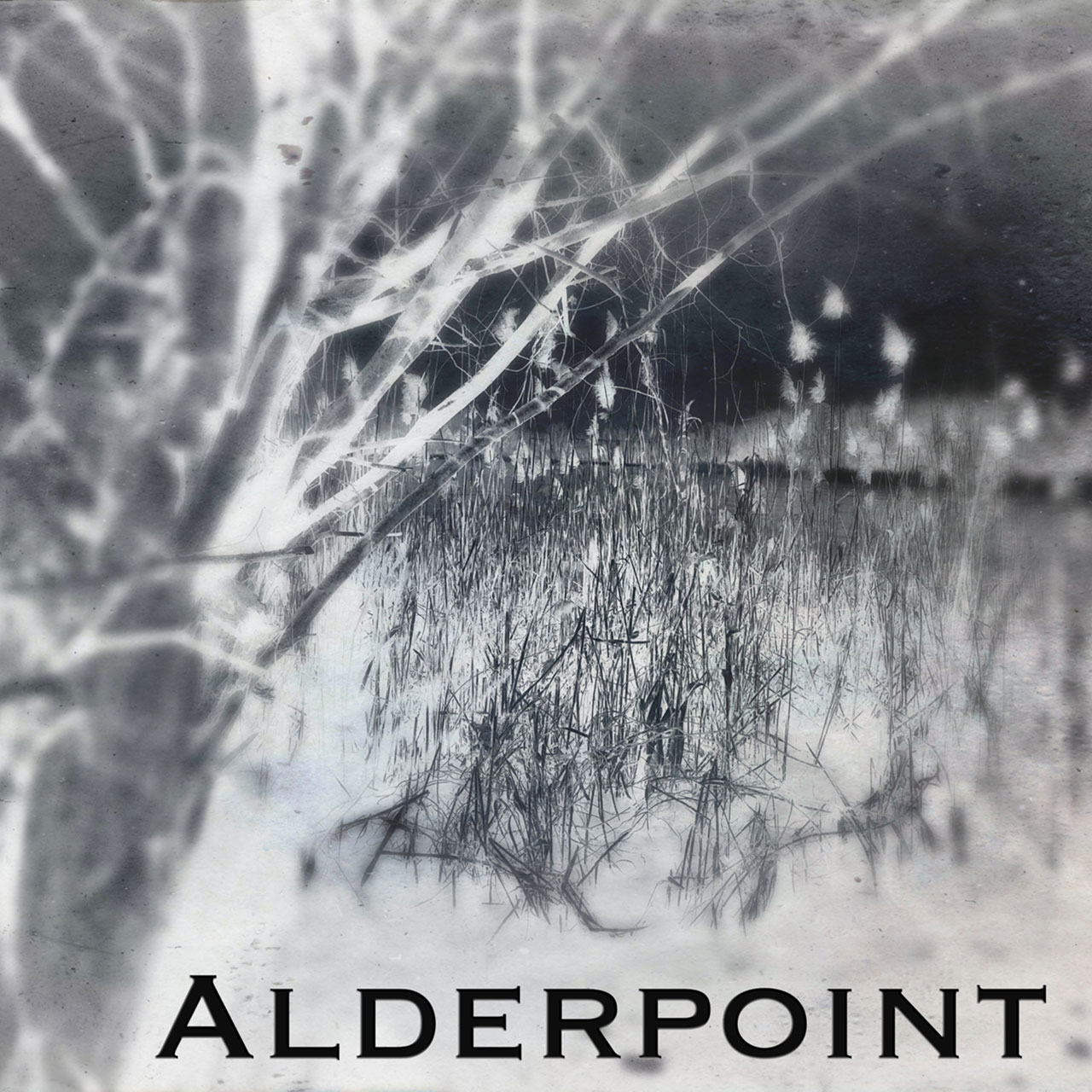 Alderpoint • Urban Indie Folk